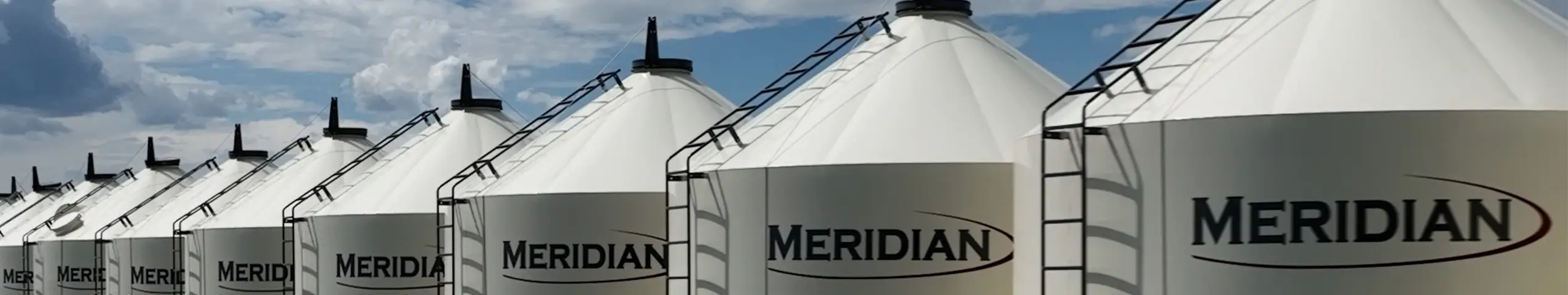 Rebate Program | MERIDIAN® Manufacturing